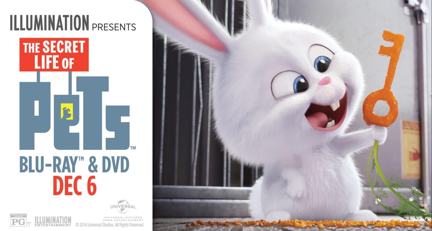 The Secret Life of Pets Movie Night with DIY Popcorn Bar