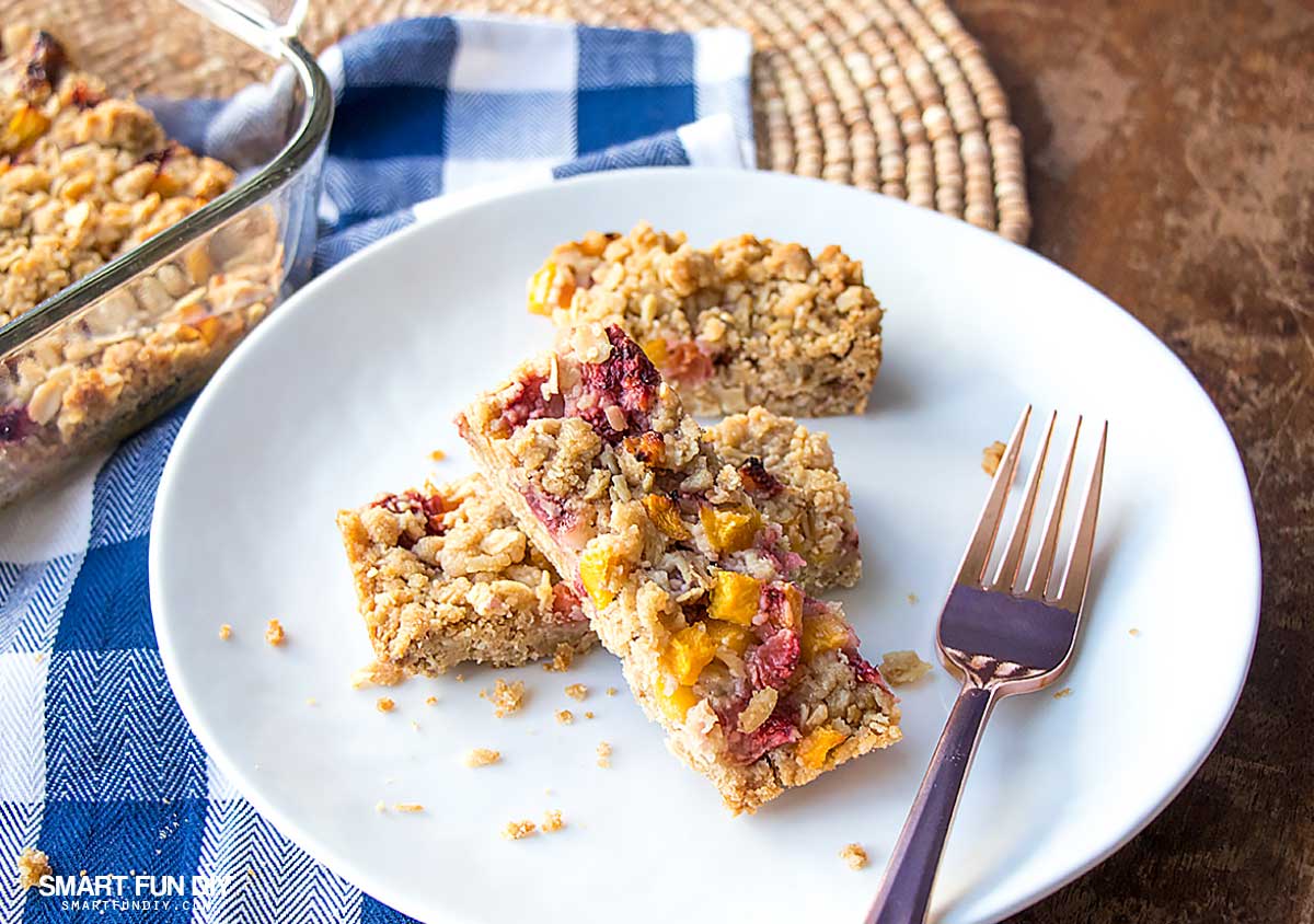 Fruity Oatmeal Bars Recipe - Quick Breakfast | Smart Fun DIY